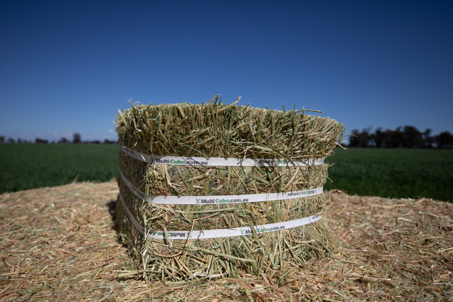 Compressed Hay Bales - Multicube Hay & Cube