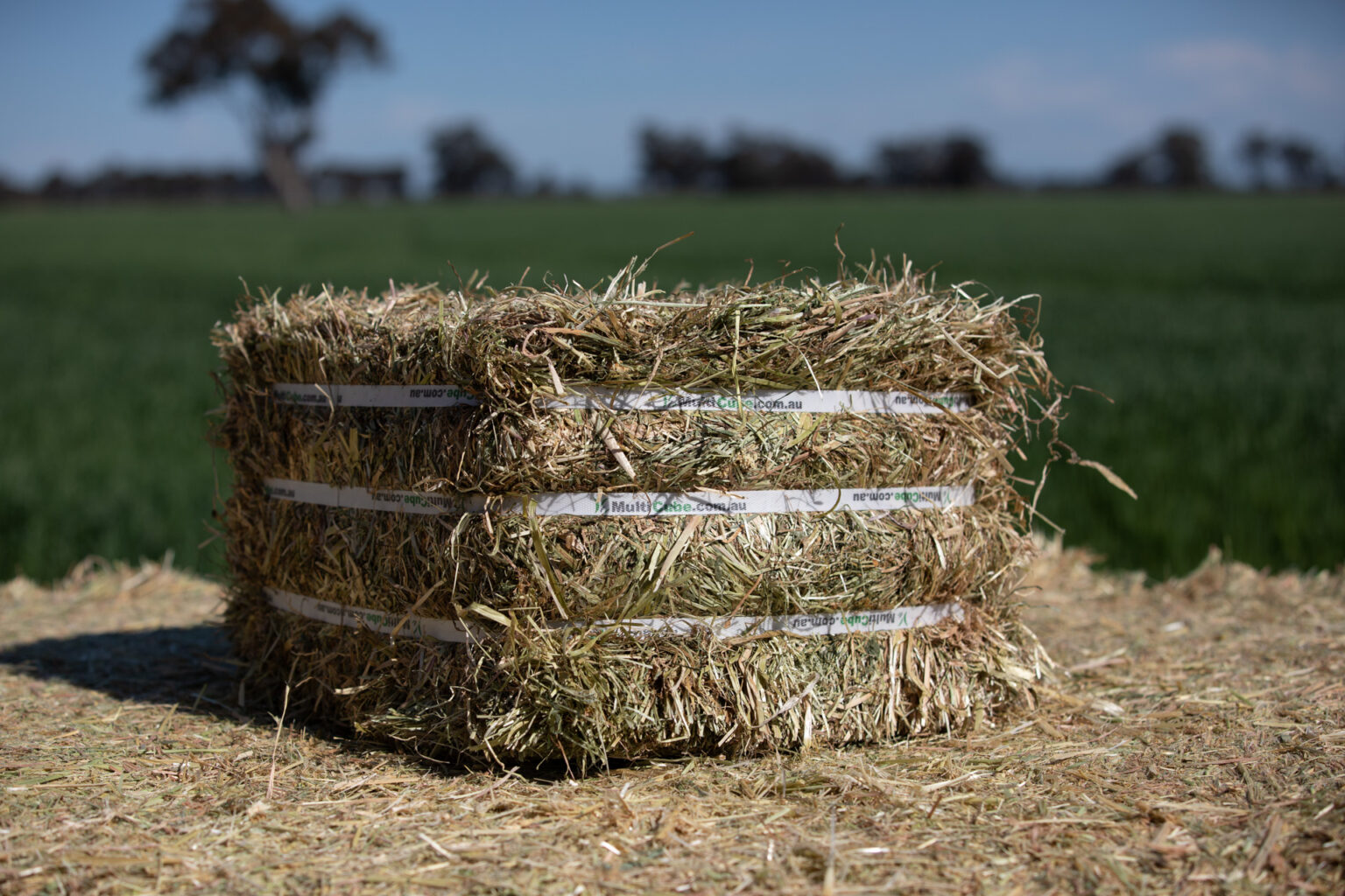 Compressed Hay Bales - Multicube Hay & Cube