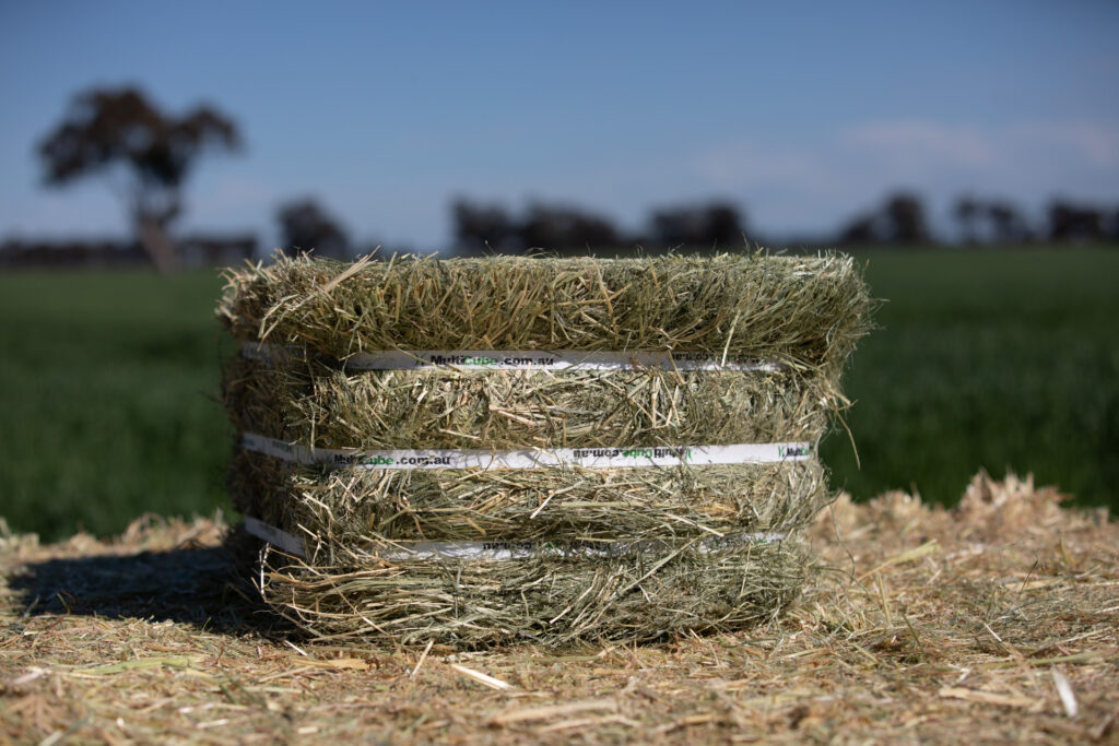 Compressed Hay Bales - Multicube Hay & Cube