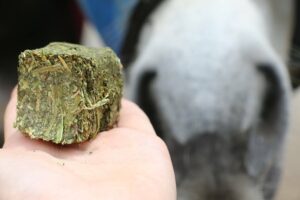 MultiCube Hay Cubes - MultiCube Hay and Cube