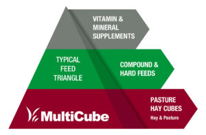 Pasture Hay Cubes - Multicube Hay & Cube
