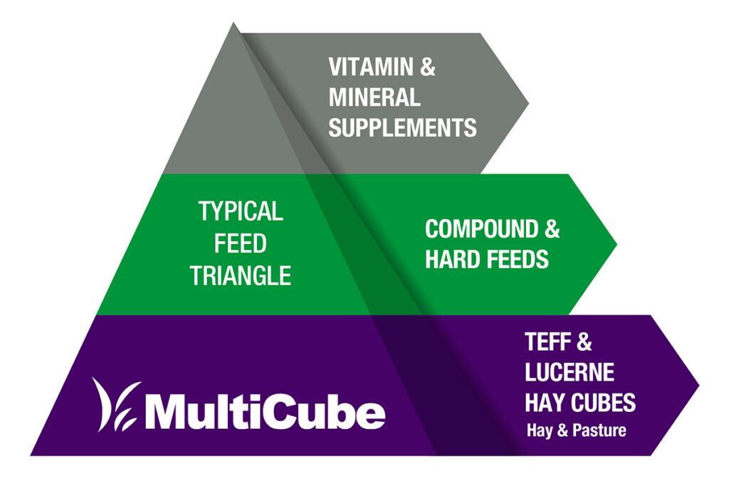 Teff & Lucerne Hay Cubes - Multicube Hay & Cube