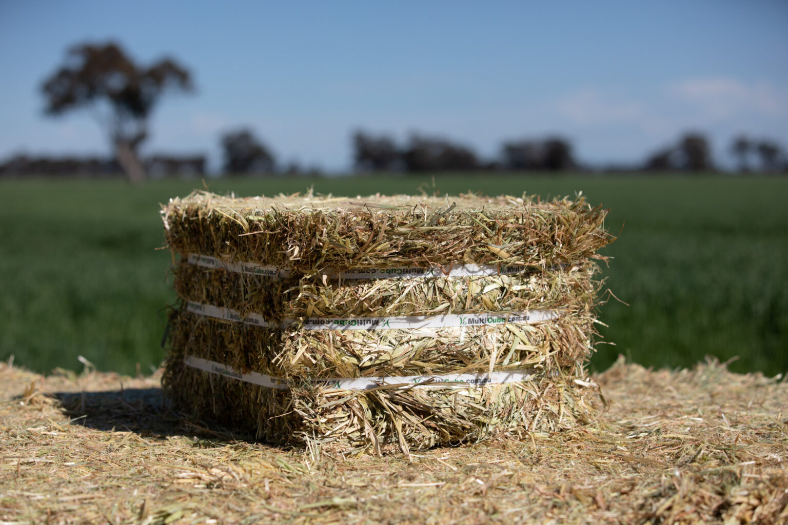 Compressed Hay Bales - Multicube Hay & Cube