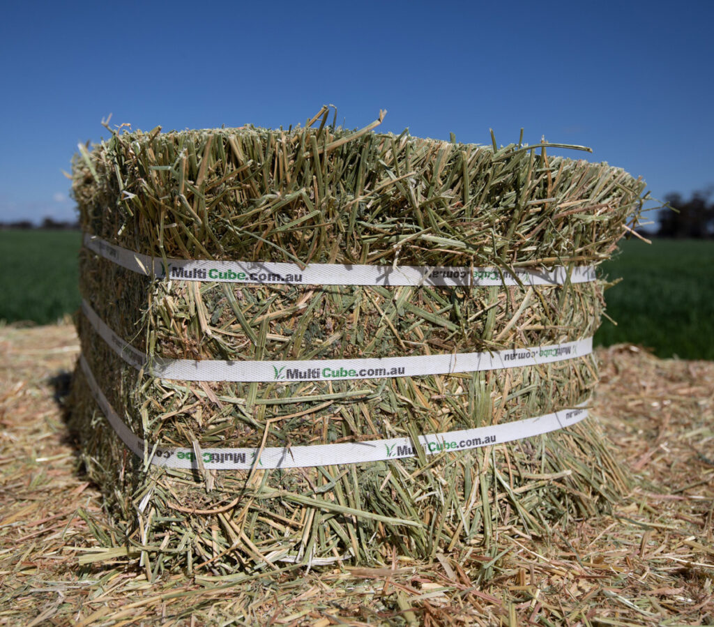 Compressed Lucerne Hay - Multicube Hay & Cube