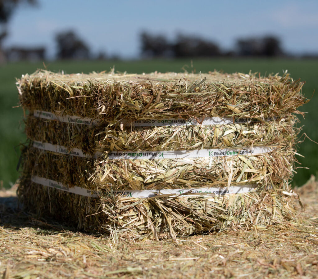 Compressed Oaten Hay - Multicube Hay & Cube