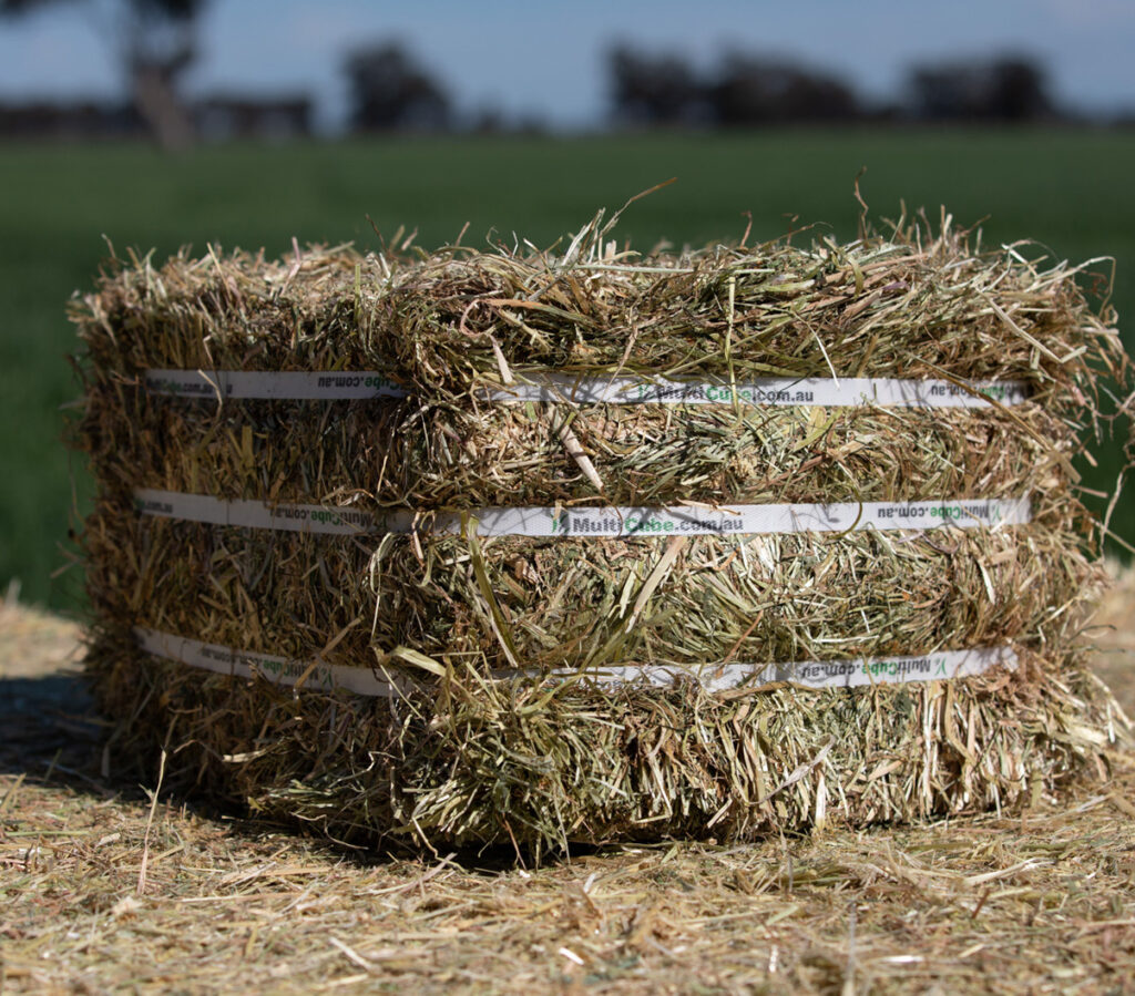 Compressed Pasture (Rye Grass & Clover) Hay - Multicube Hay & Cube