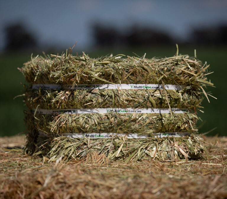 Compressed Premium Oaten Hay - Multicube Hay & Cube