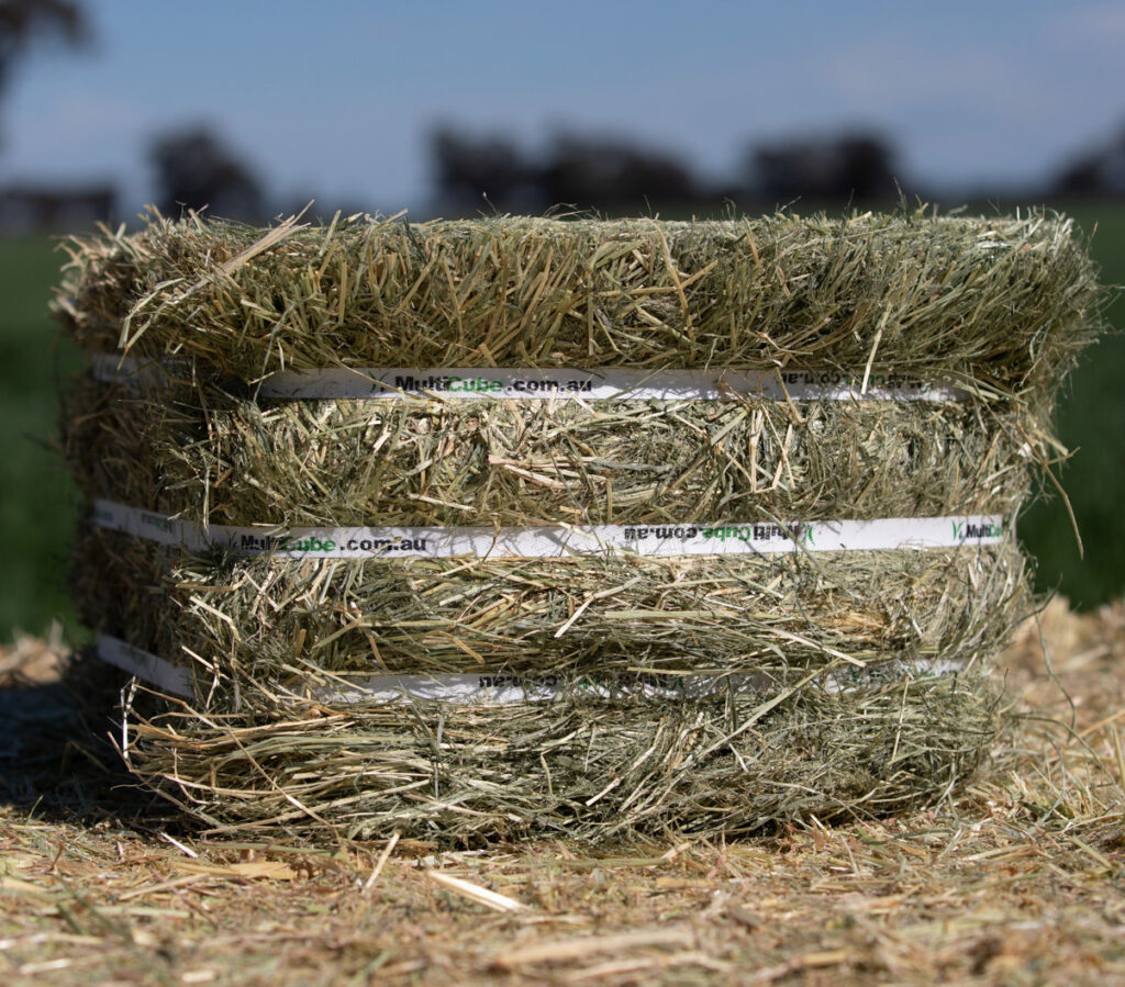 Compressed Low Sugar Teff Hay - Multicube Hay & Cube