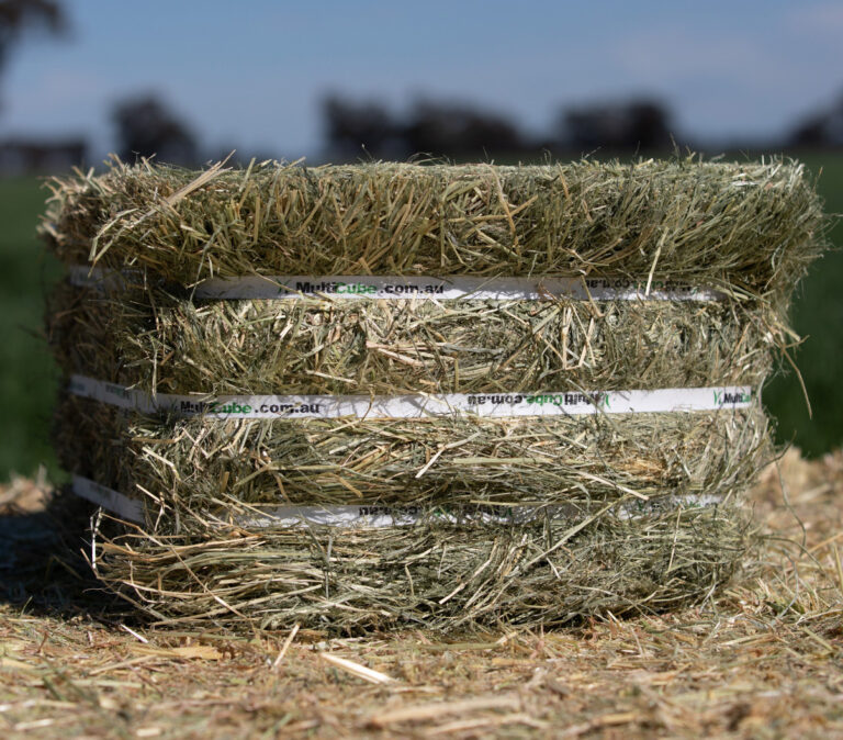 Compressed Low Sugar Teff Hay - Multicube Hay & Cube