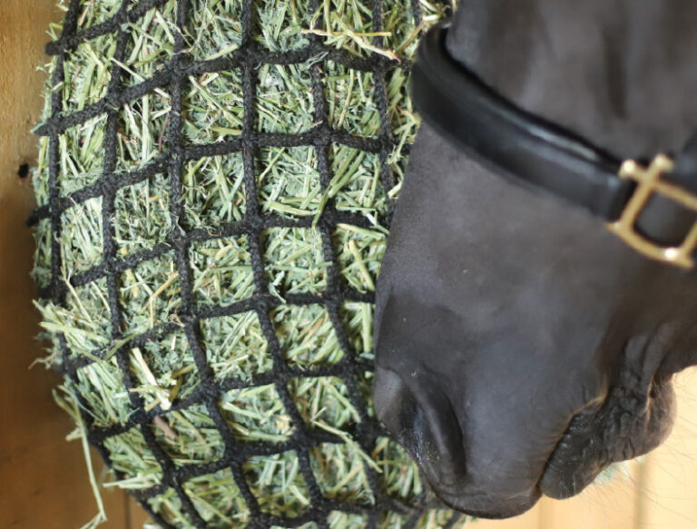 Compressed Hay Bales - Multicube Hay & Cube