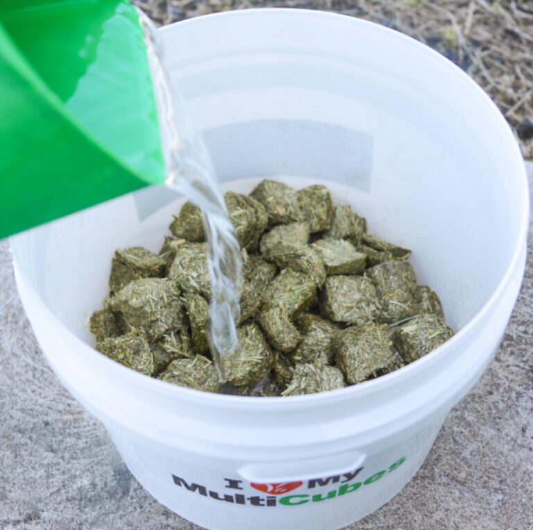 Lucerne & Oaten Hay Cubes - Multicube Hay & Cube