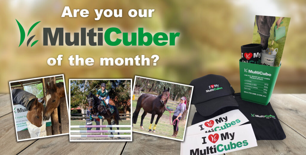 Are you our MultiCuber of the month? - Multicube Hay & Cube