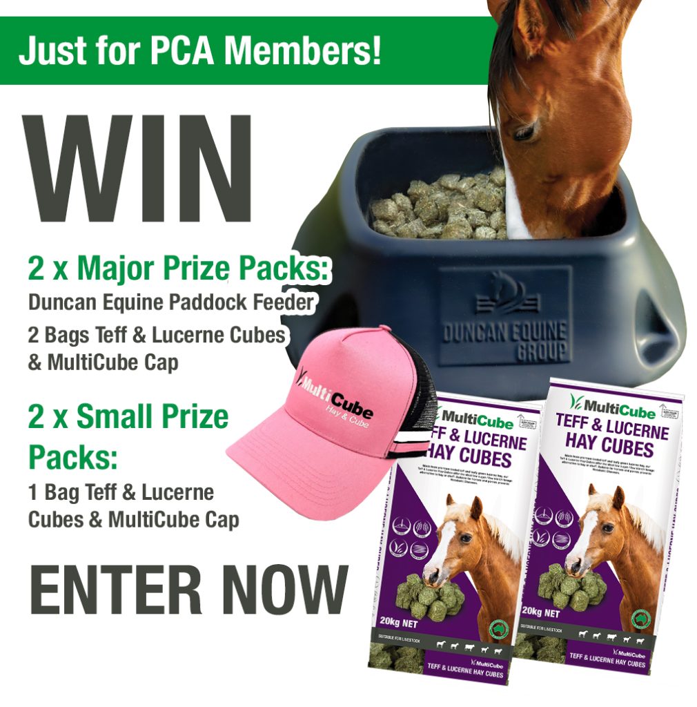 PCA Competition - Multicube Hay & Cube