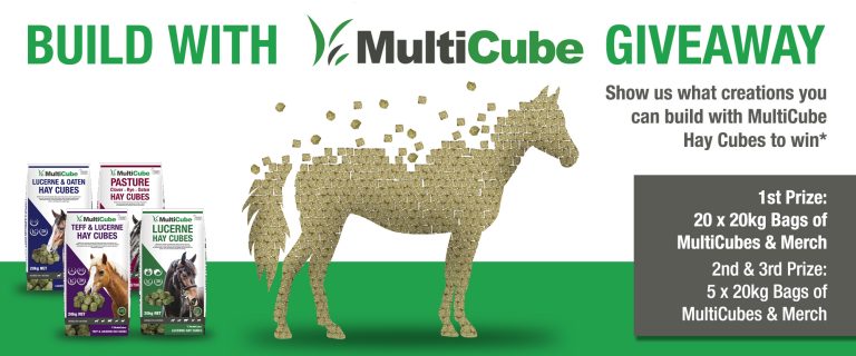 Build your horse's diet with MultiCube Hay Cubes Giveaway - Multicube ...